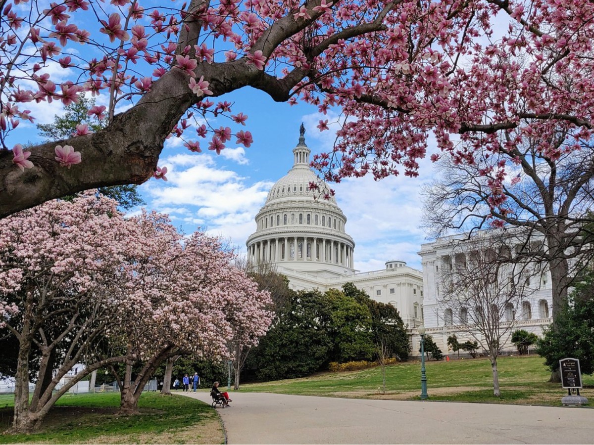 Tracking American Civics Legislation by David Randall | NAS