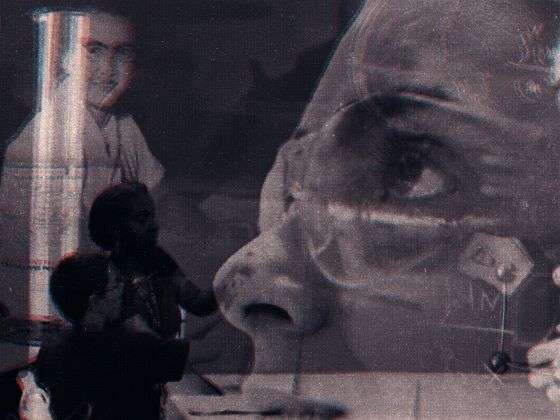 David Randall - Bio | NAS