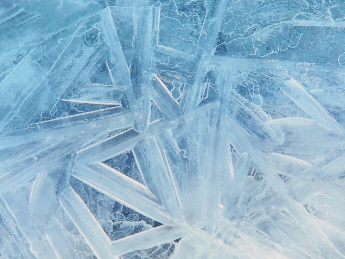 Exposed: The “Chilling Effect” by Kali Jerrard | NAS