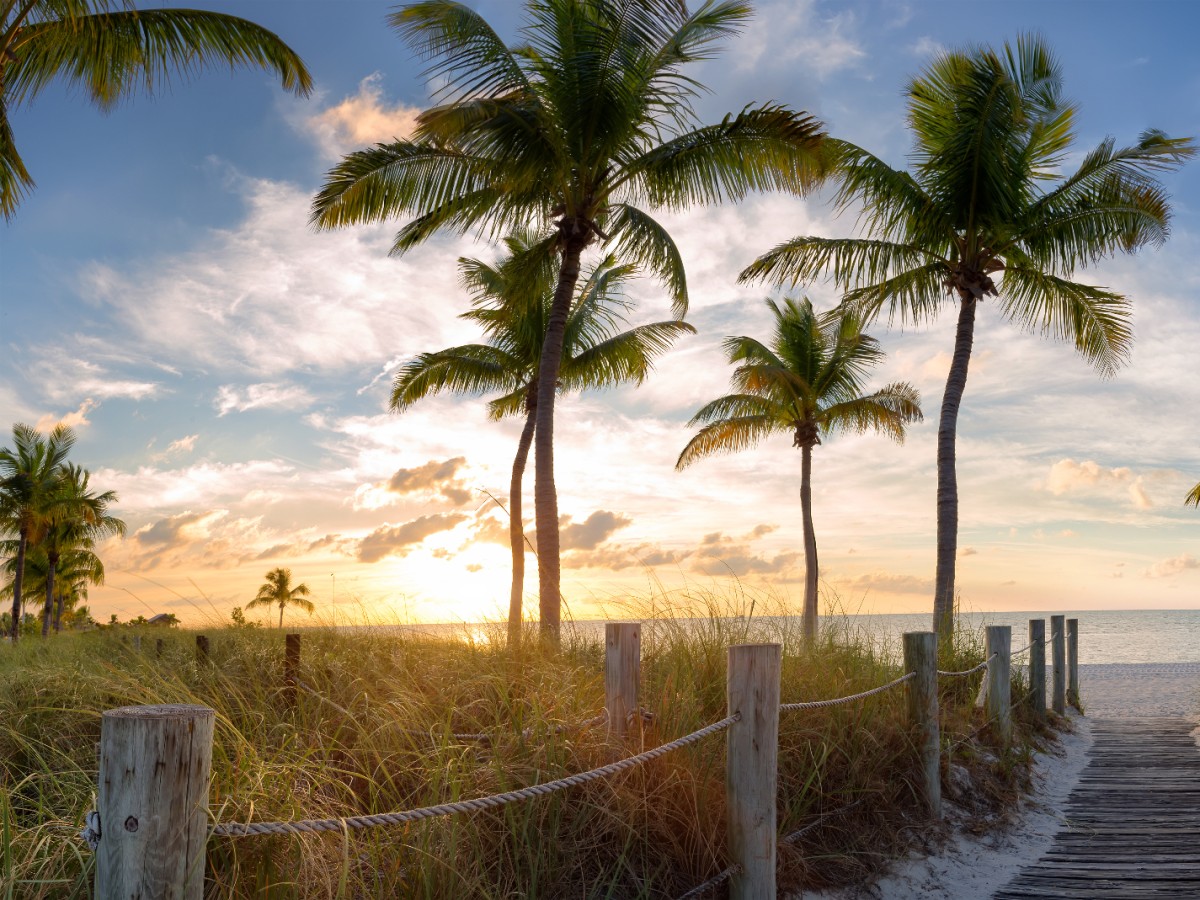 Comments on College Board Duplicity in Florida by National Association ...