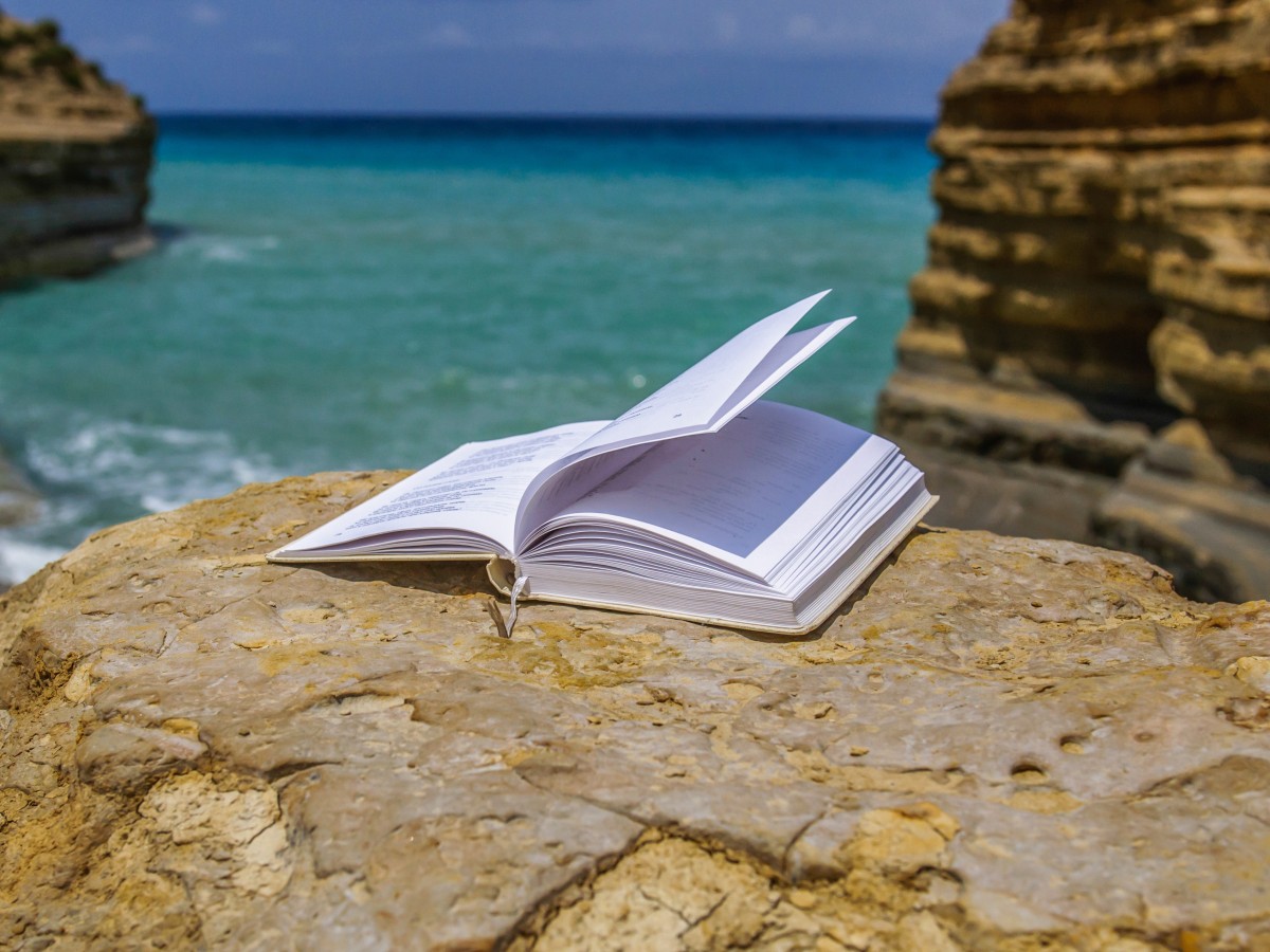 Beach Books 2017-2018 by David Randall | Report | NAS