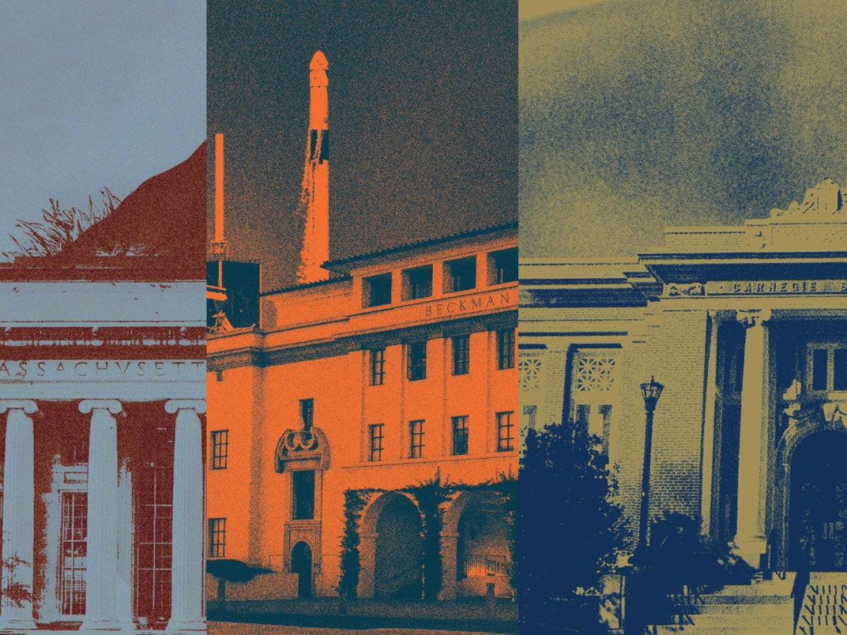 VIDEO: Turning Over Rocks in the DEI Swamp by National Association of ...