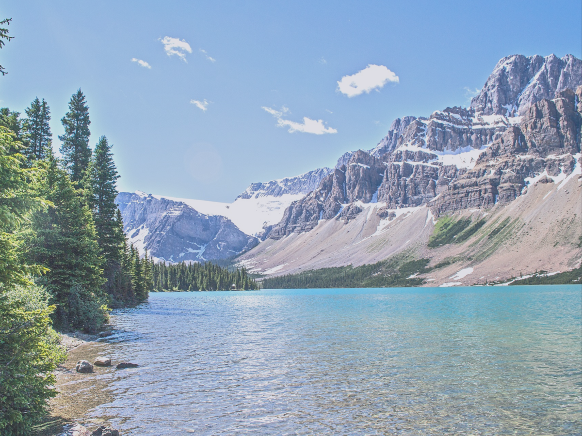 The Father of Global Warming Skepticism: An Interview with S Fred ...