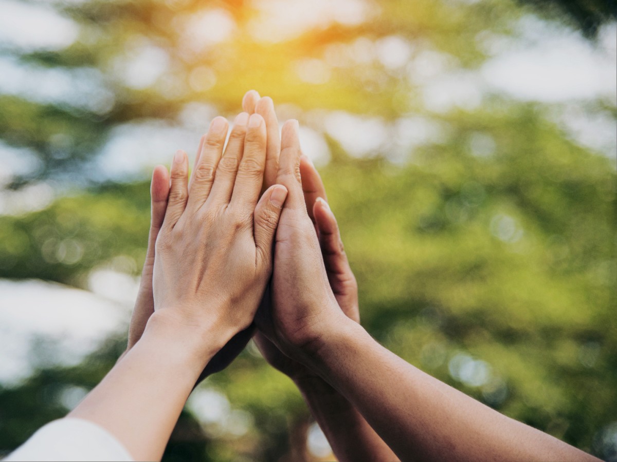 On Collegiality by J. Scott Turner | NAS