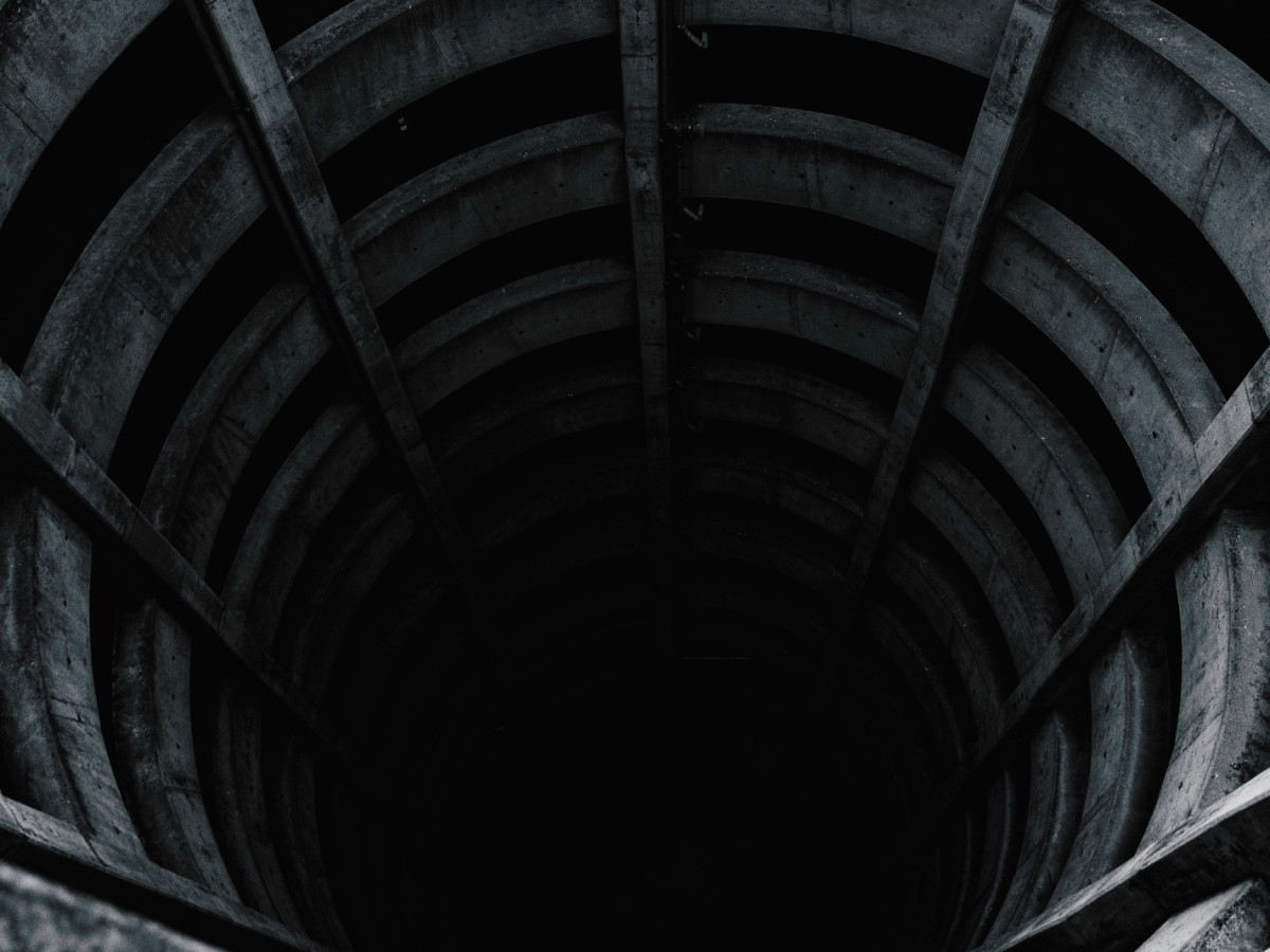 The Victimhood Cult by Jason Richwine | NAS